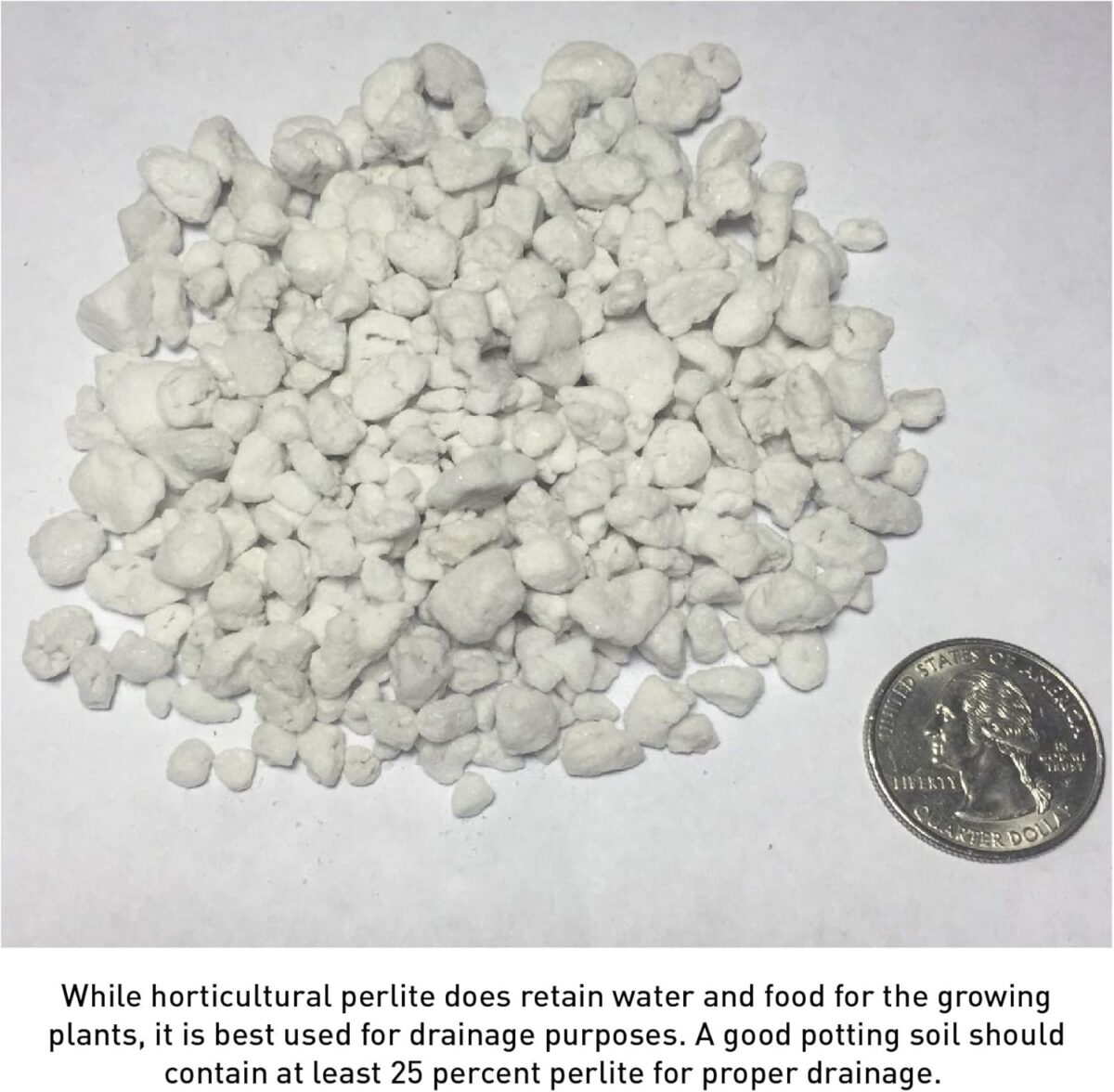 PVP Industries PVP105408 120 Quarts, 4 Cubic Foot of Organic Perlite ...